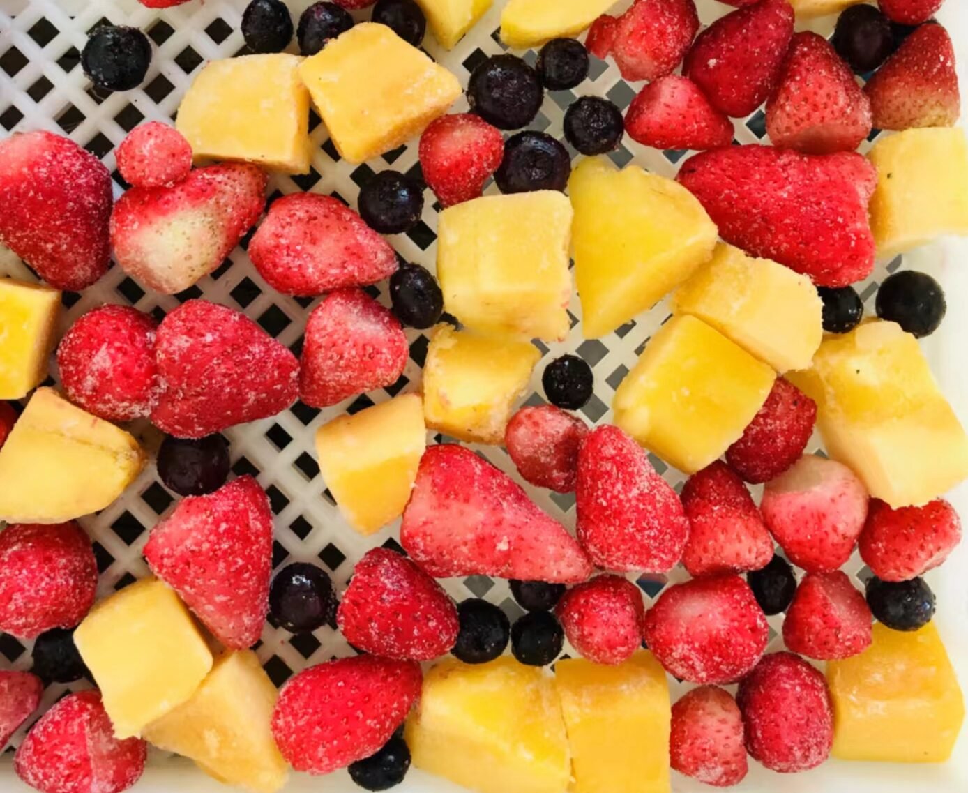 Frozen Mixed Fruits – wintervalleyfoods.com